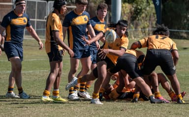 TAS Rugby | News | Community | Game